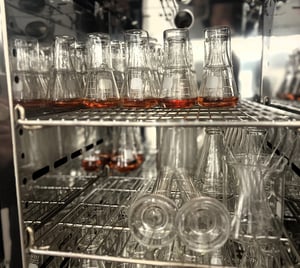 ASCENT | Benchmark Space Systems