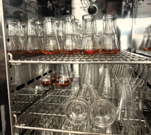 ASCENT | Benchmark Space Systems